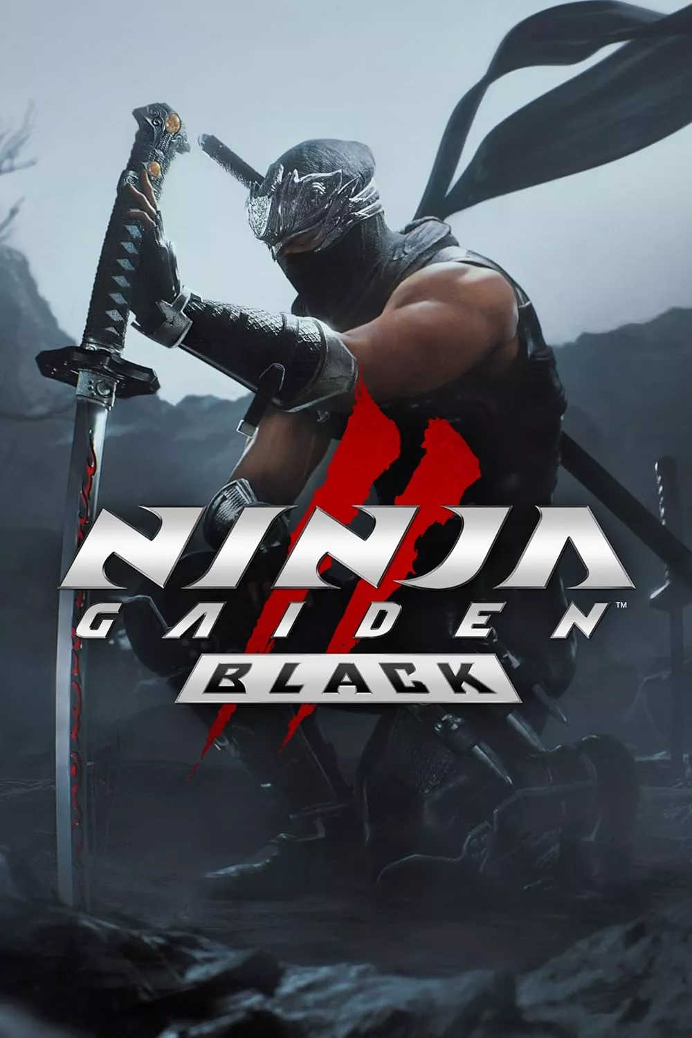 Ninja Gaiden 2 Black Wallpapers - Wallpaper Cave