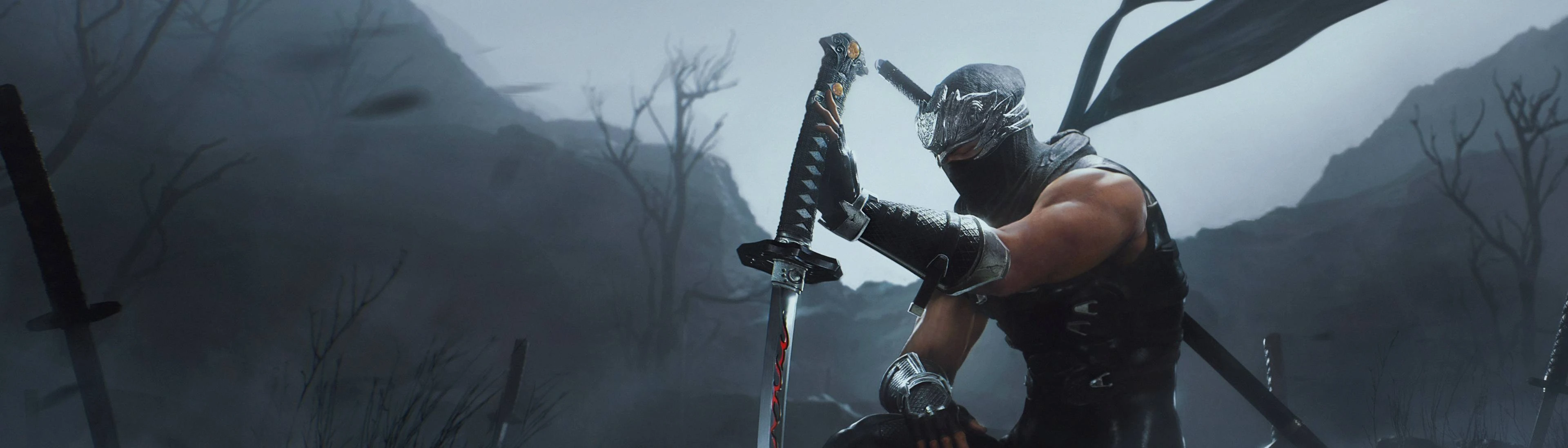 Ninja Gaiden 2 Black Wallpapers - Wallpaper Cave