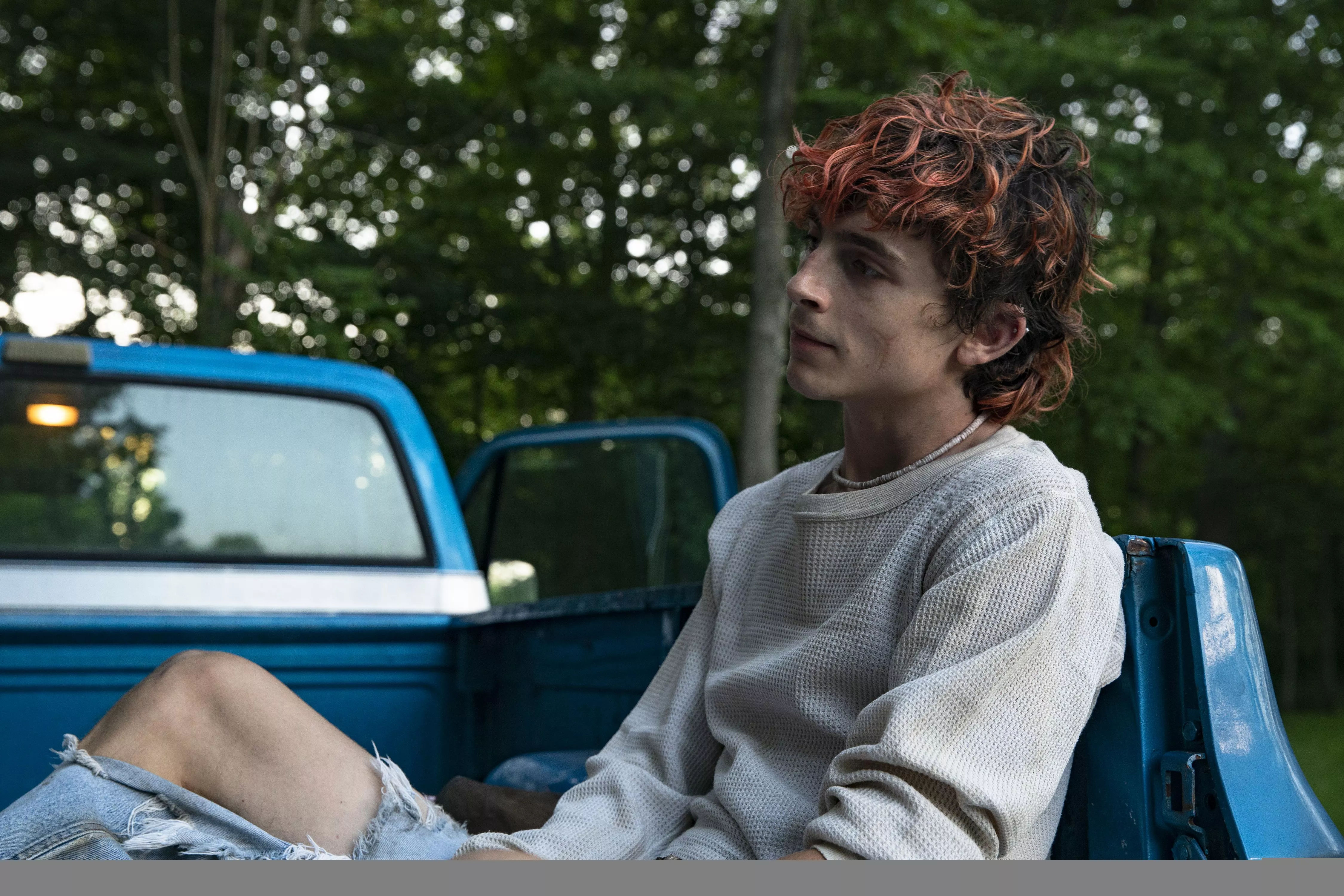 Timothée Chalamet 4k Wallpapers - Wallpaper Cave