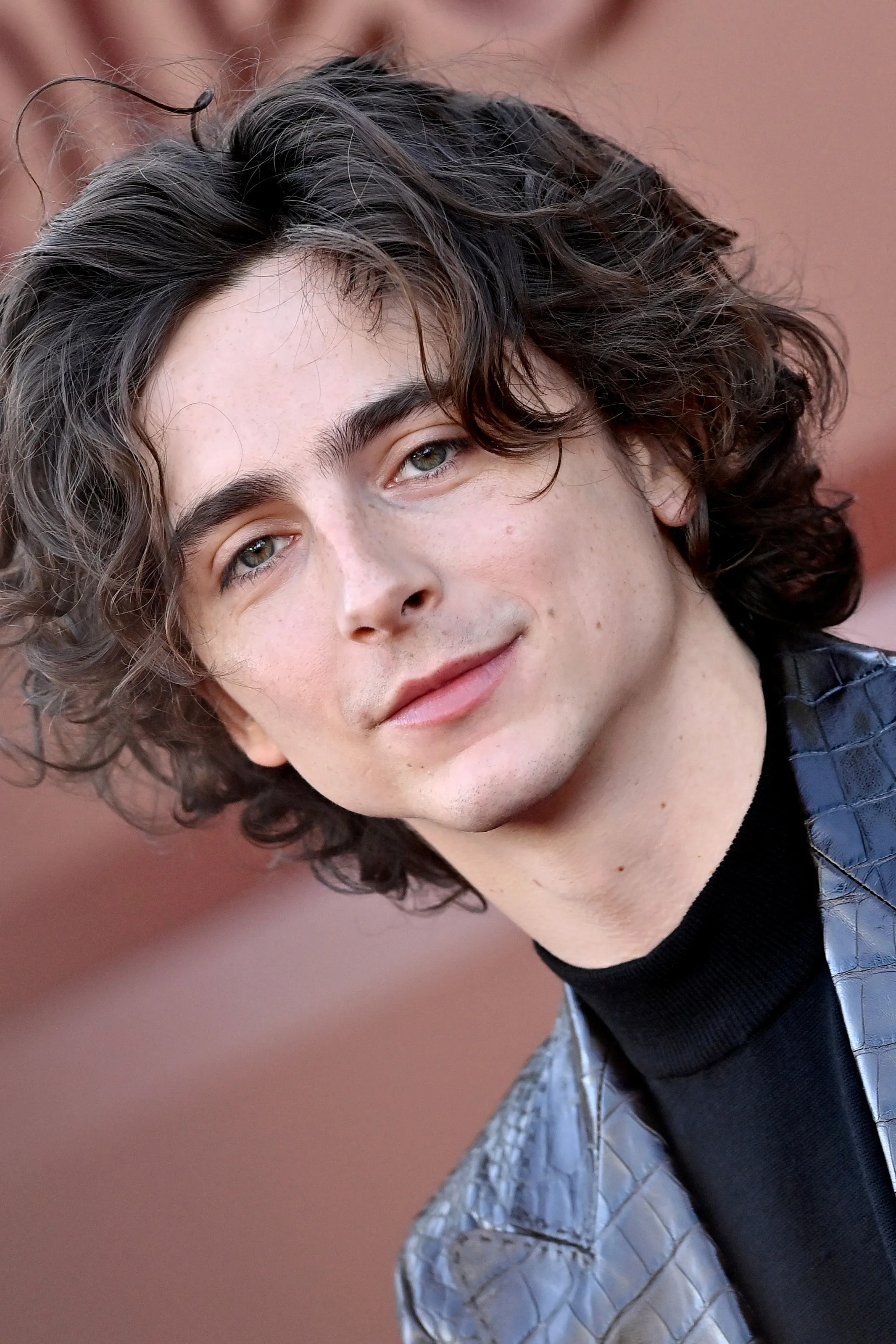 Timothée Chalamet 4k Wallpapers - Wallpaper Cave