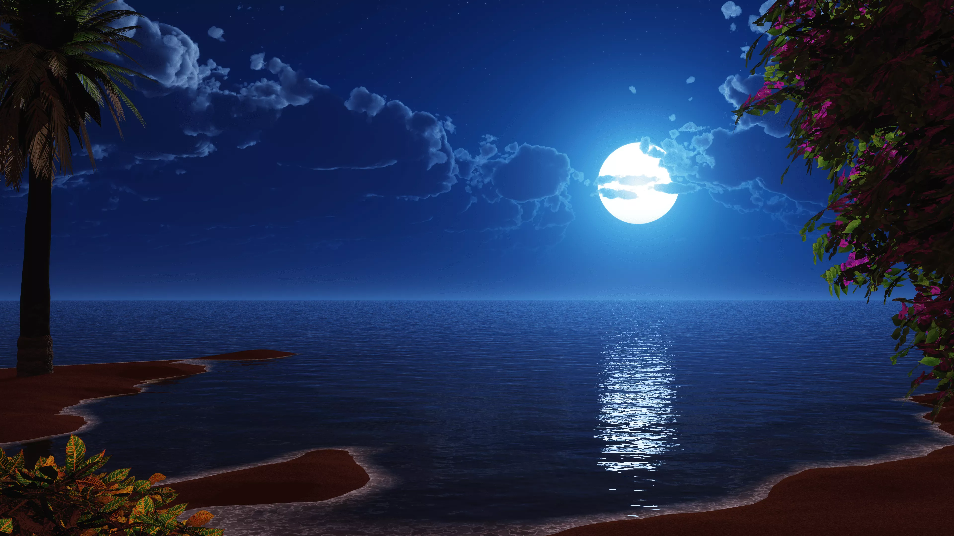 4k Night Beach Wallpapers - Wallpaper Cave