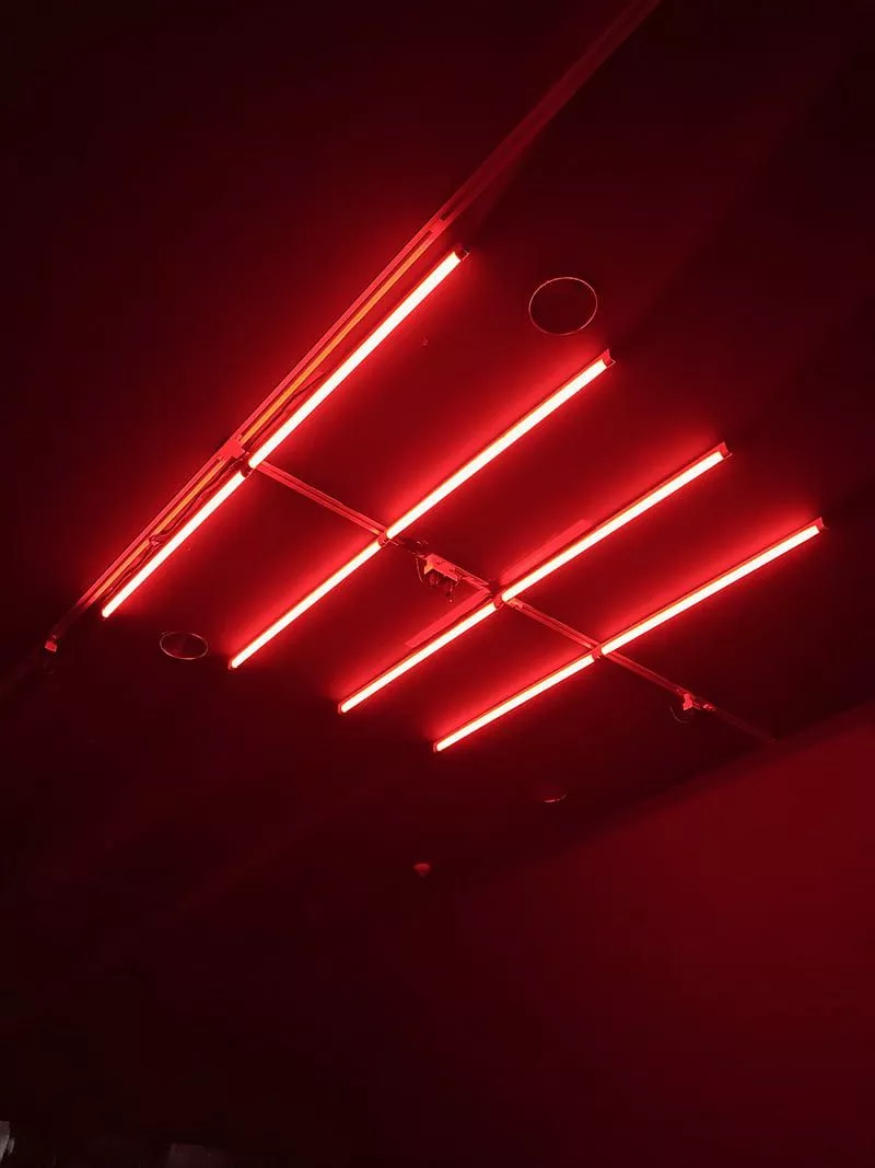 Red Neon Phone Wallpapers - Wallpaper Cave