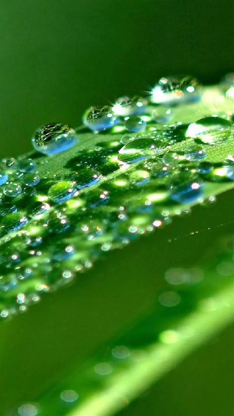 Glow iPhone Wallpapers - Wallpaper Cave