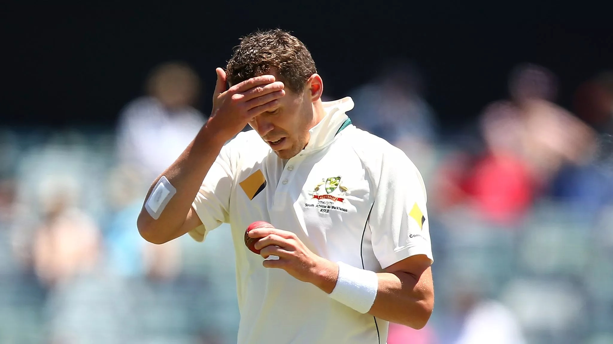 Peter Siddle Wallpapers - Wallpaper Cave