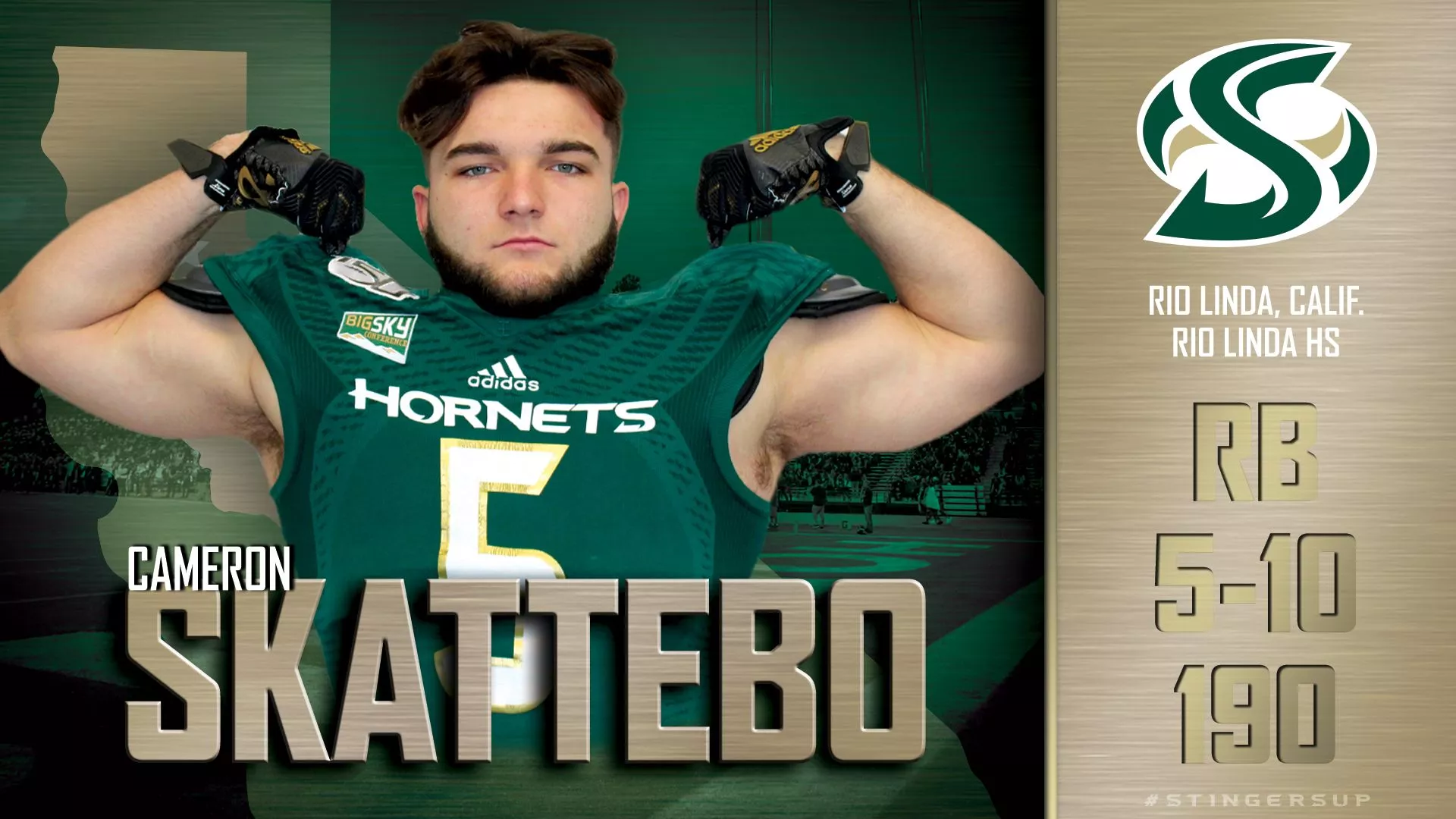 Cameron Skattebo Wallpapers - Wallpaper Cave