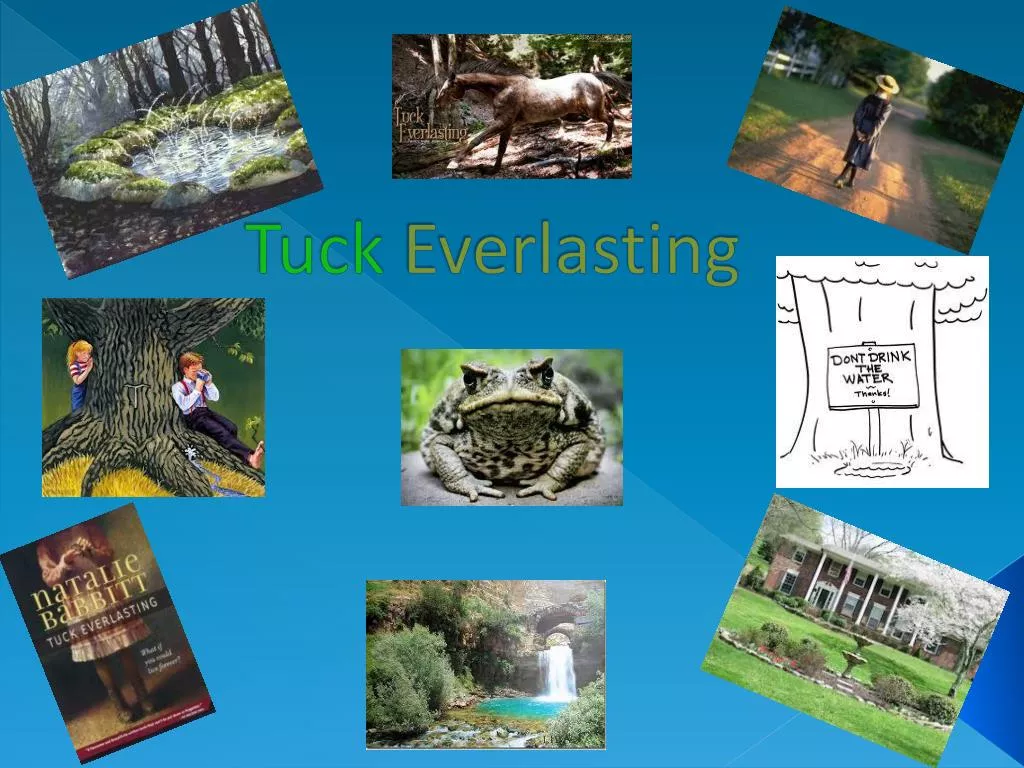 Tuck Everlasting Collage Wallpapers - Wallpaper Cave