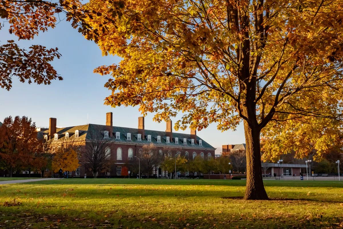 University Of Illinois Urbana-Champaign Wallpapers - Wallpaper Cave