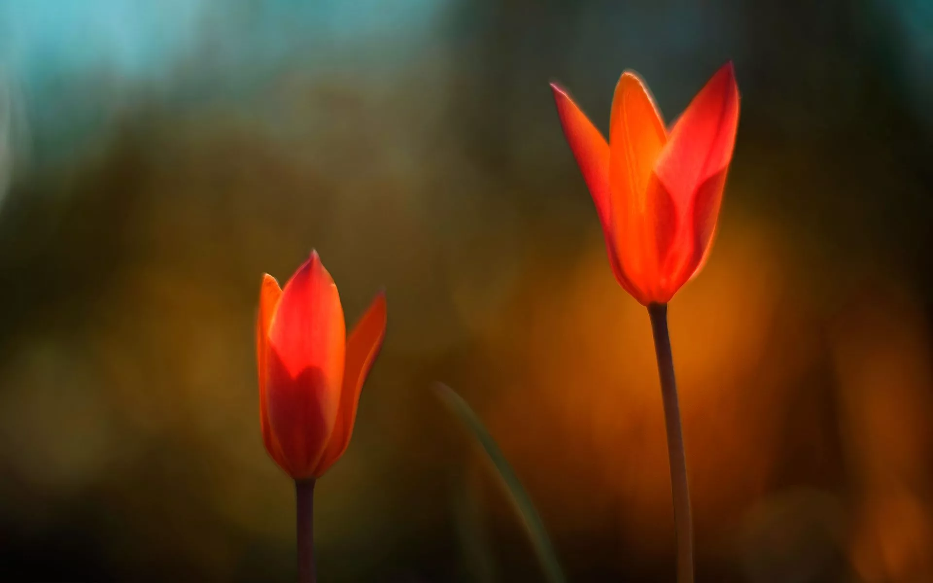 Windows 10 Old Wallpapers - Wallpaper Cave