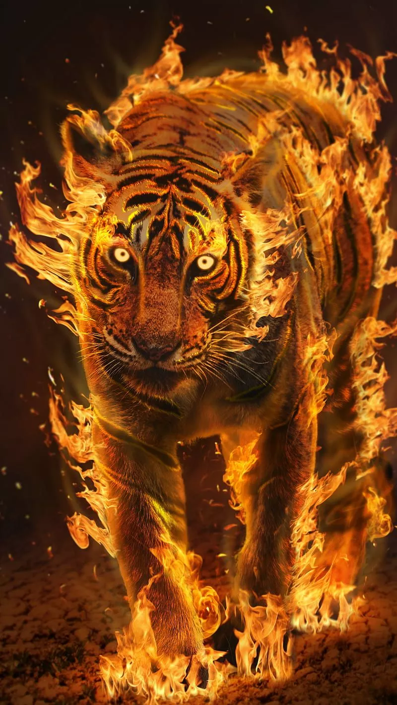 Tiger On Fire Wallpapers - Wallpaper Cave