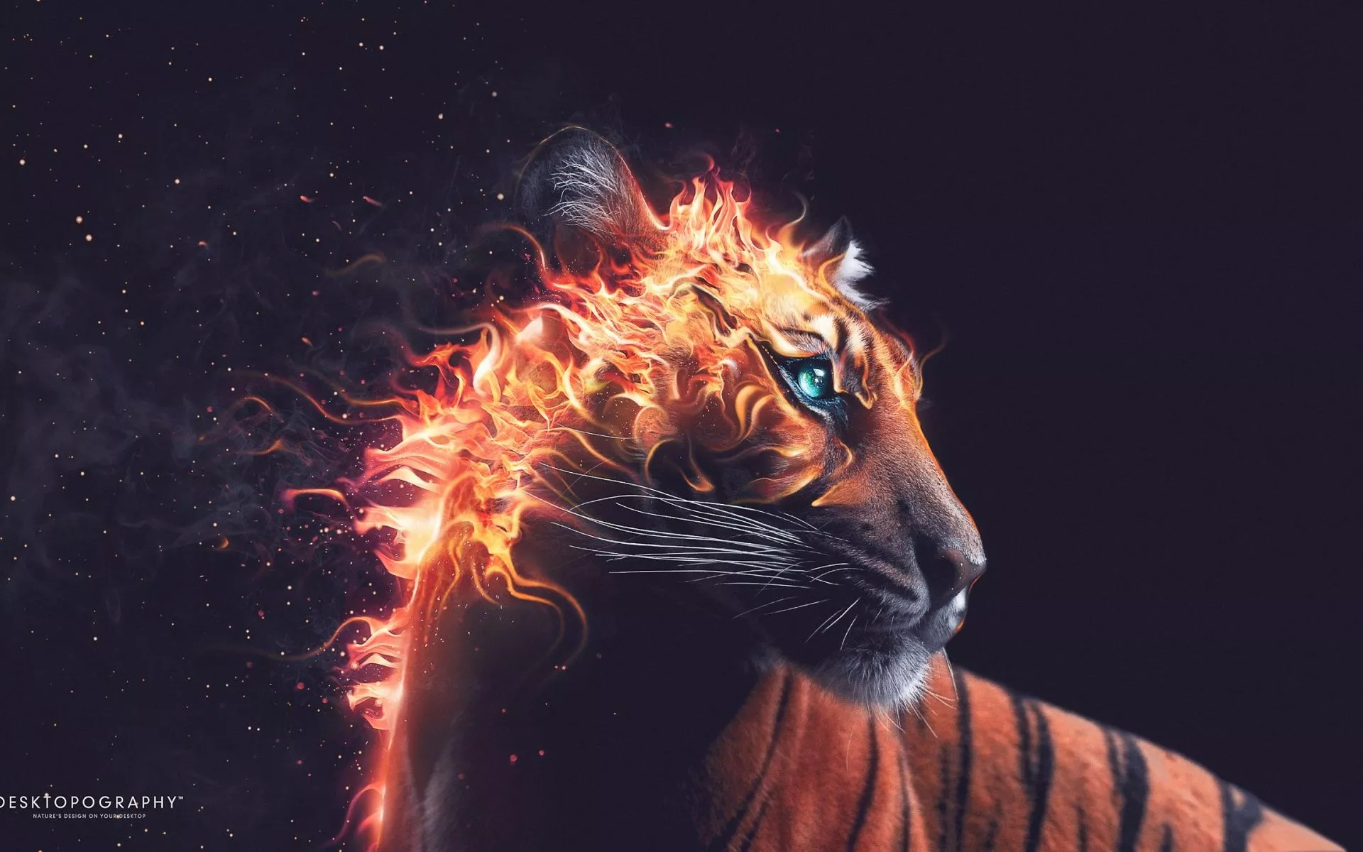 Tiger On Fire Wallpapers - Wallpaper Cave