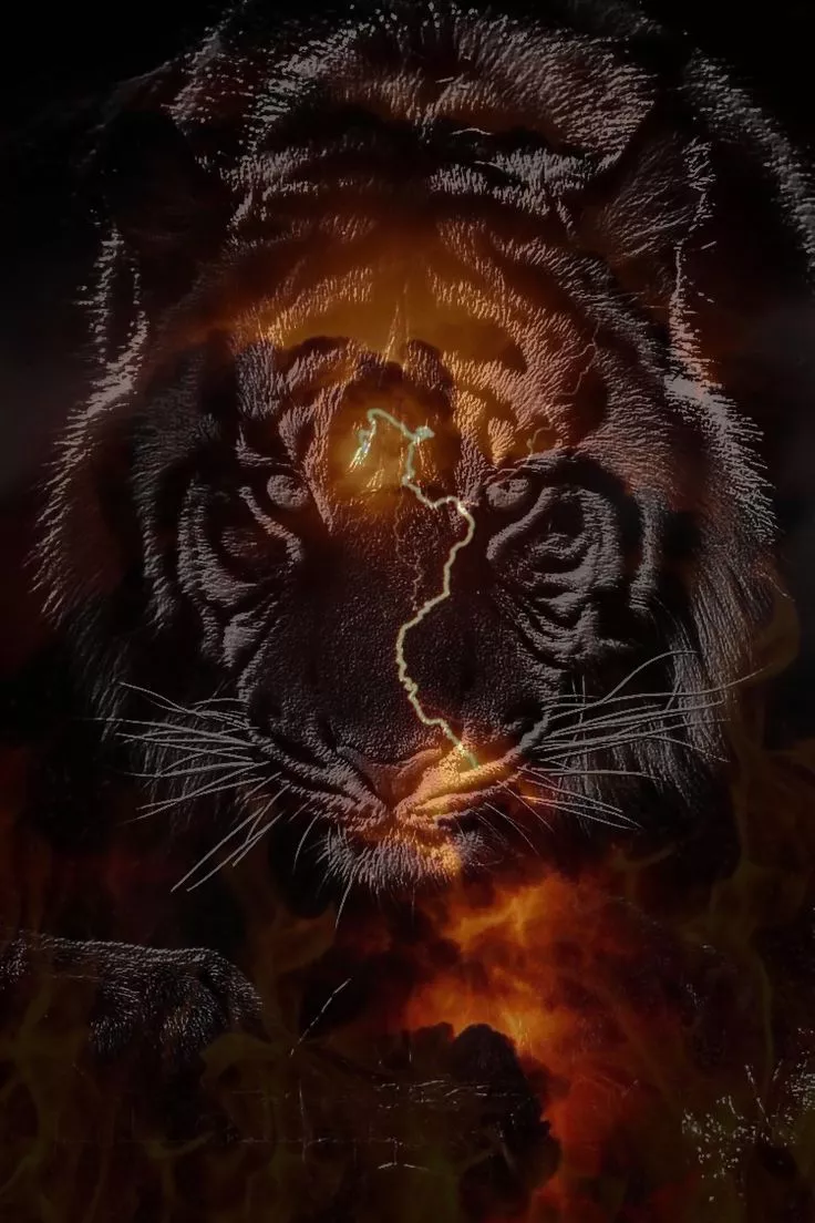 Tiger On Fire Wallpapers - Wallpaper Cave