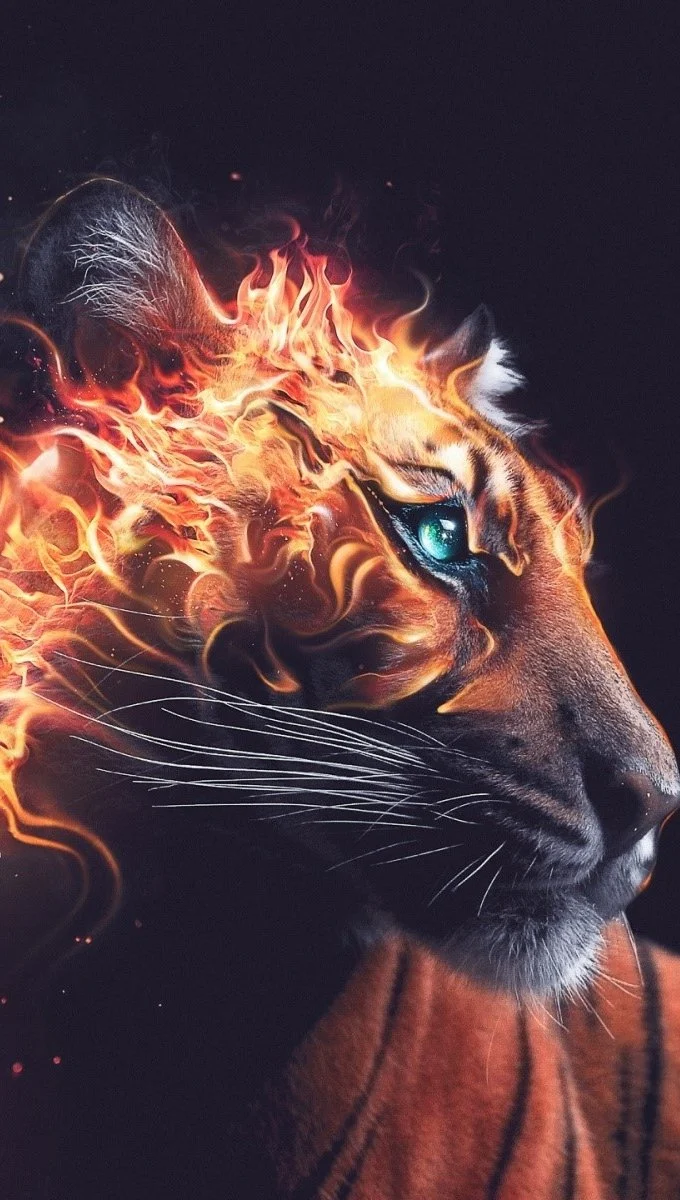 Tiger On Fire Wallpapers - Wallpaper Cave