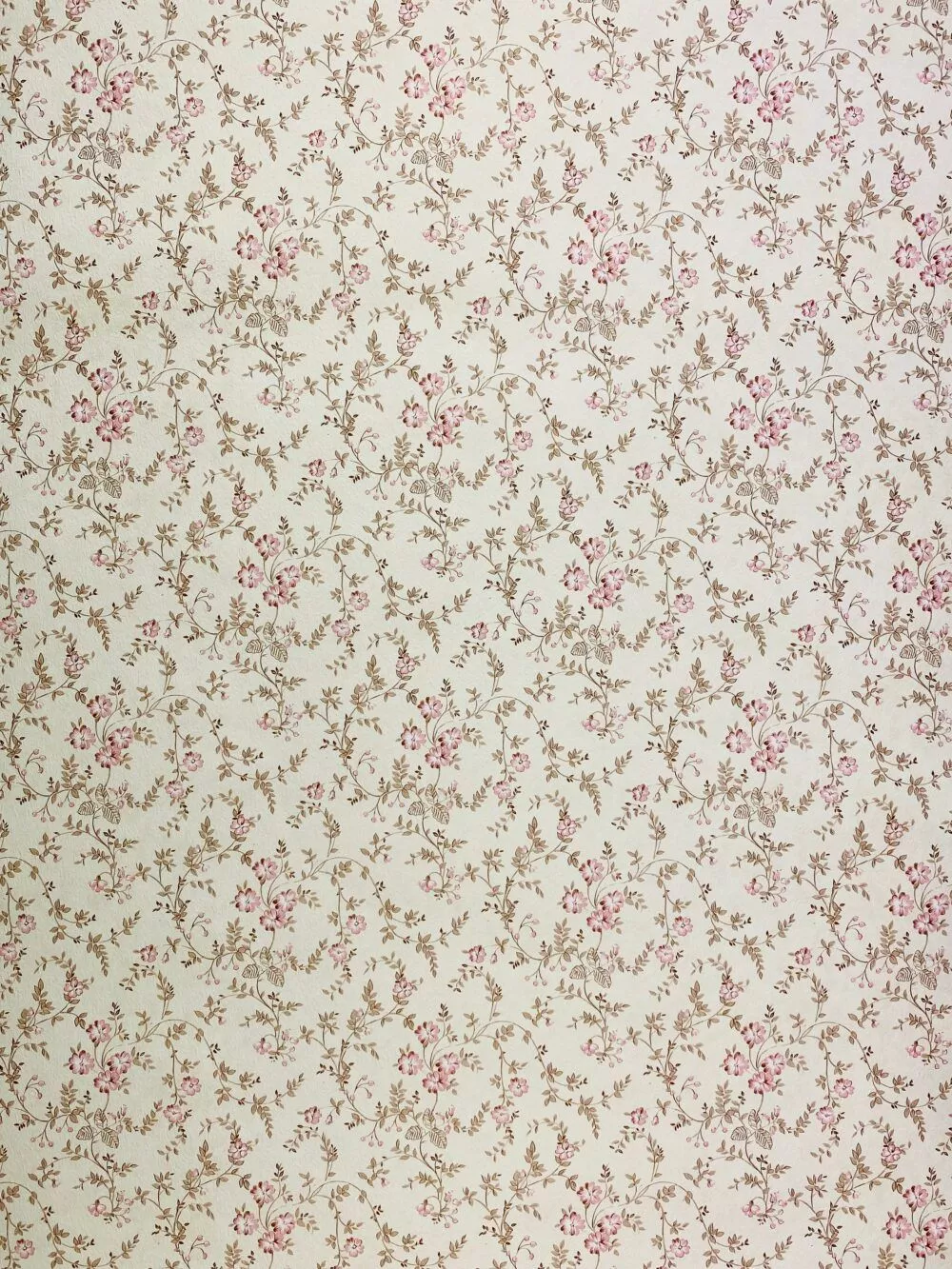 Coquette Flowers Wallpapers - Wallpaper Cave