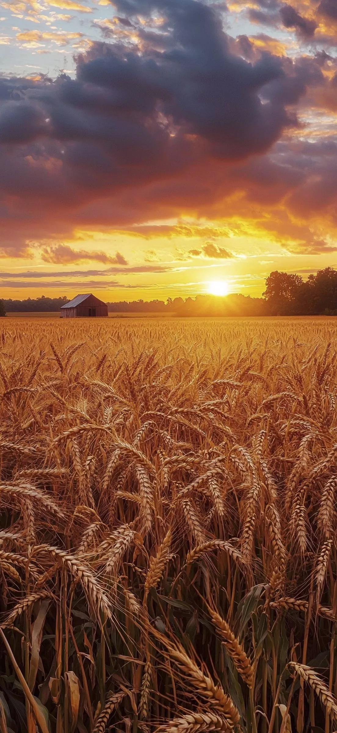 Warm iPhone Wallpapers - Wallpaper Cave