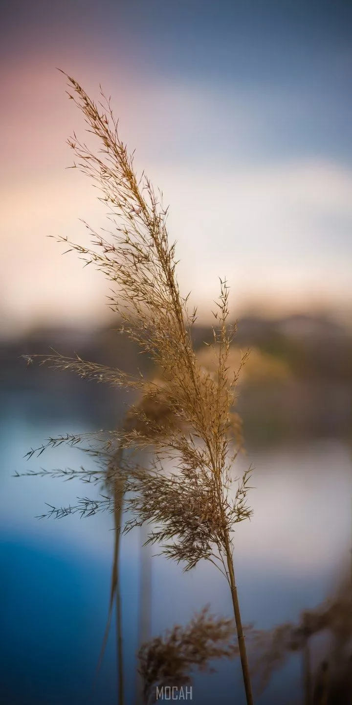 Nokia C2 Phone Wallpapers - Wallpaper Cave