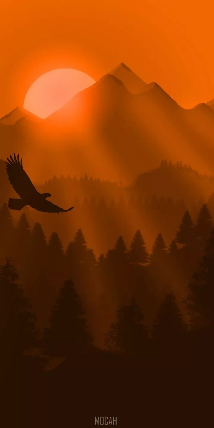 Nokia C2 Phone Wallpapers - Wallpaper Cave