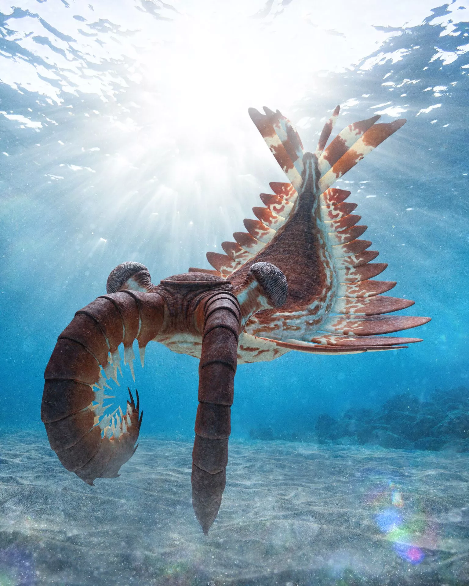 Anomalocaris Wallpapers - Wallpaper Cave
