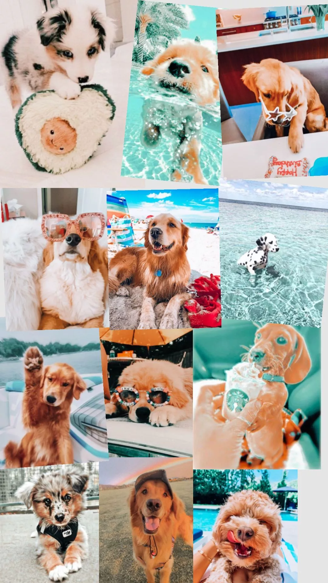 Preppy Puppies Wallpapers - Wallpaper Cave