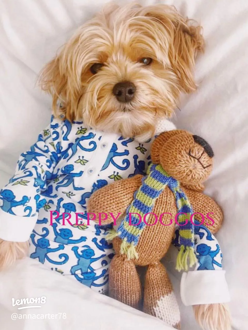 Preppy Puppies Wallpapers - Wallpaper Cave