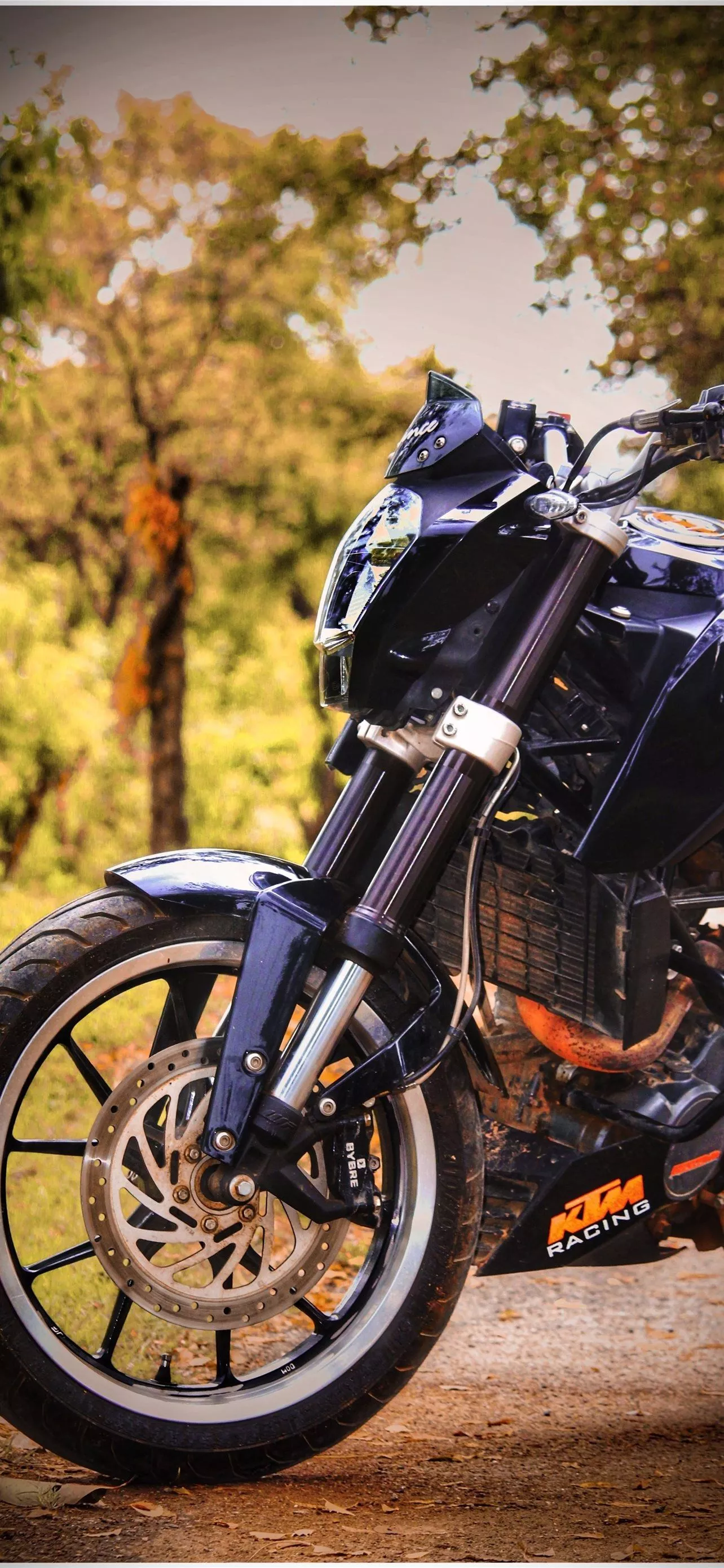 Duke HD 4k iPhone Wallpapers - Wallpaper Cave