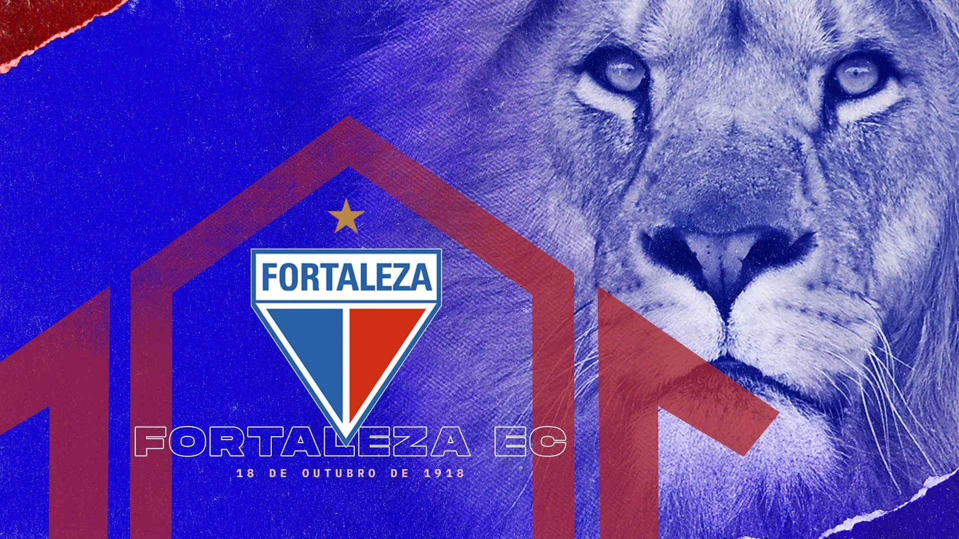 Fortaleza Esporte Clube Wallpapers - Wallpaper Cave