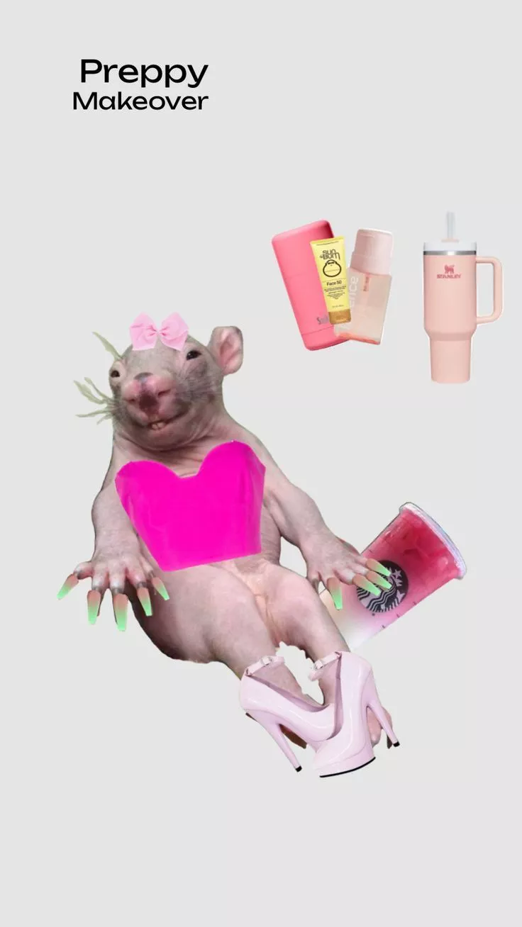 Preppy Rat Wallpapers - Wallpaper Cave