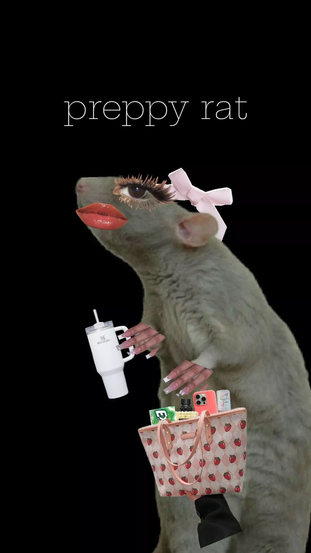 Preppy Rat Wallpapers - Wallpaper Cave