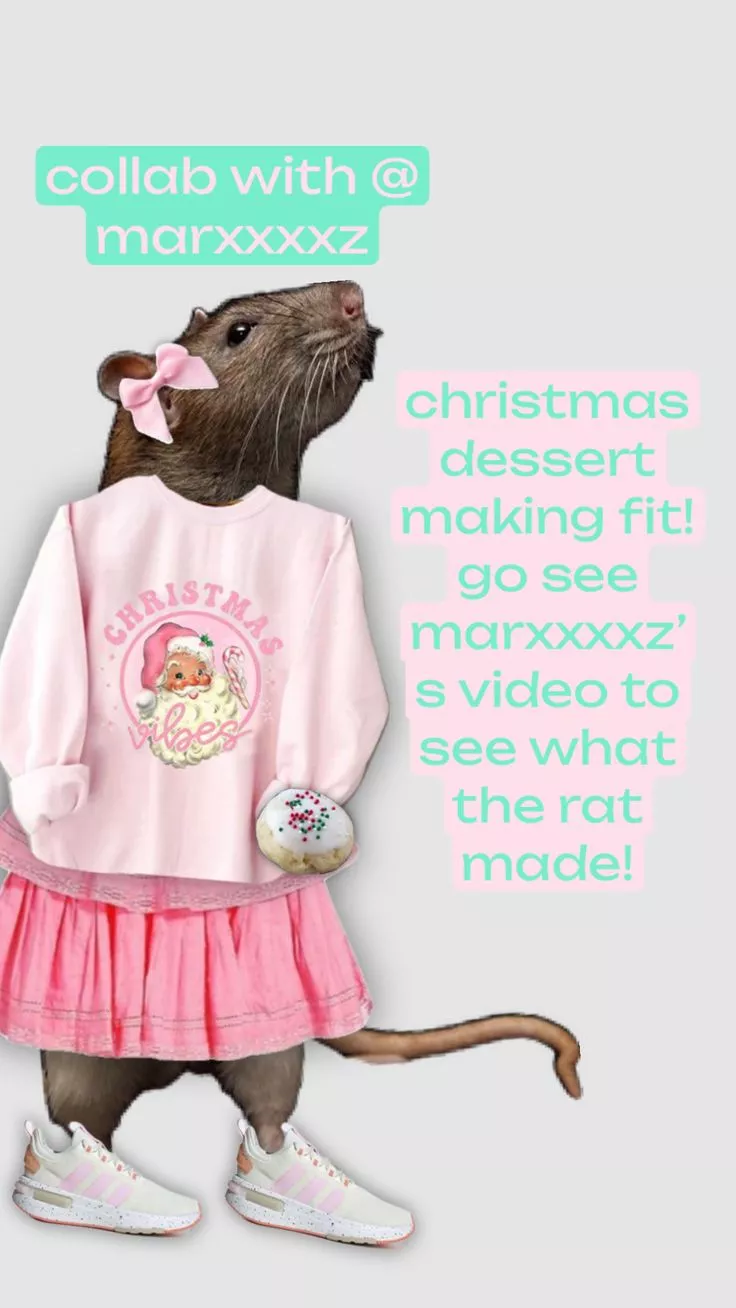 Preppy Rat Wallpapers - Wallpaper Cave