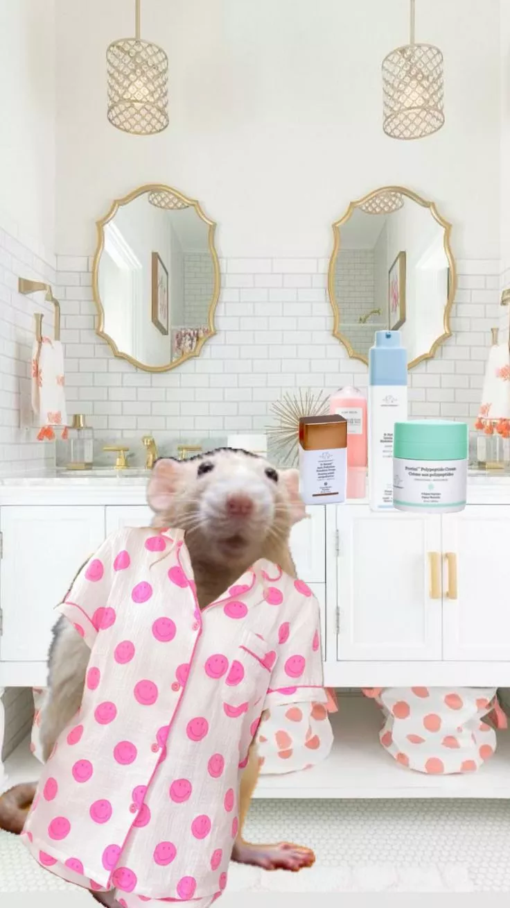 Preppy Rat Wallpapers - Wallpaper Cave