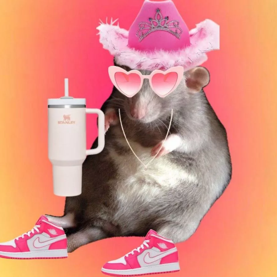 Preppy Rat Wallpapers - Wallpaper Cave