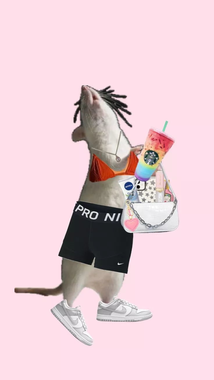 Preppy Rat Wallpapers - Wallpaper Cave