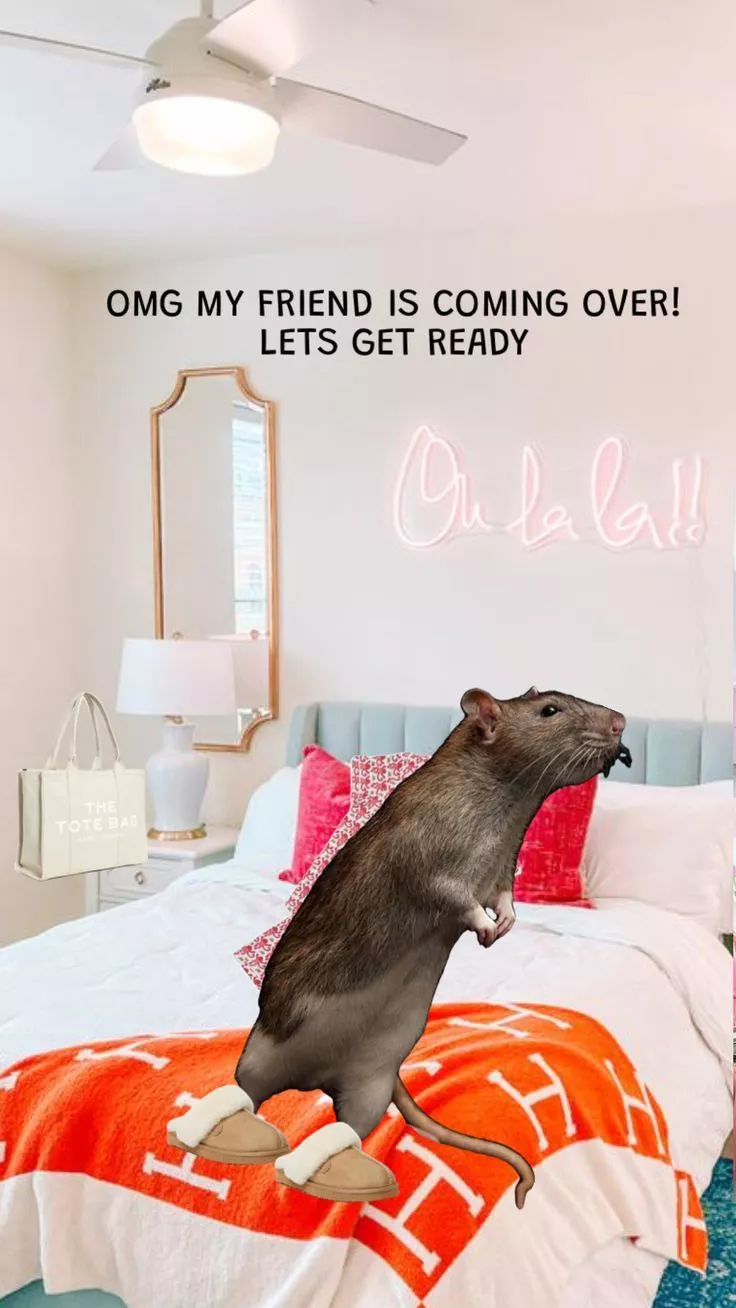 Preppy Rat Wallpapers - Wallpaper Cave