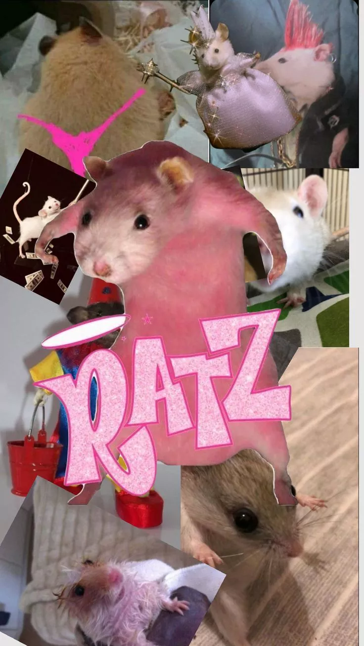 Preppy Rat Wallpapers - Wallpaper Cave