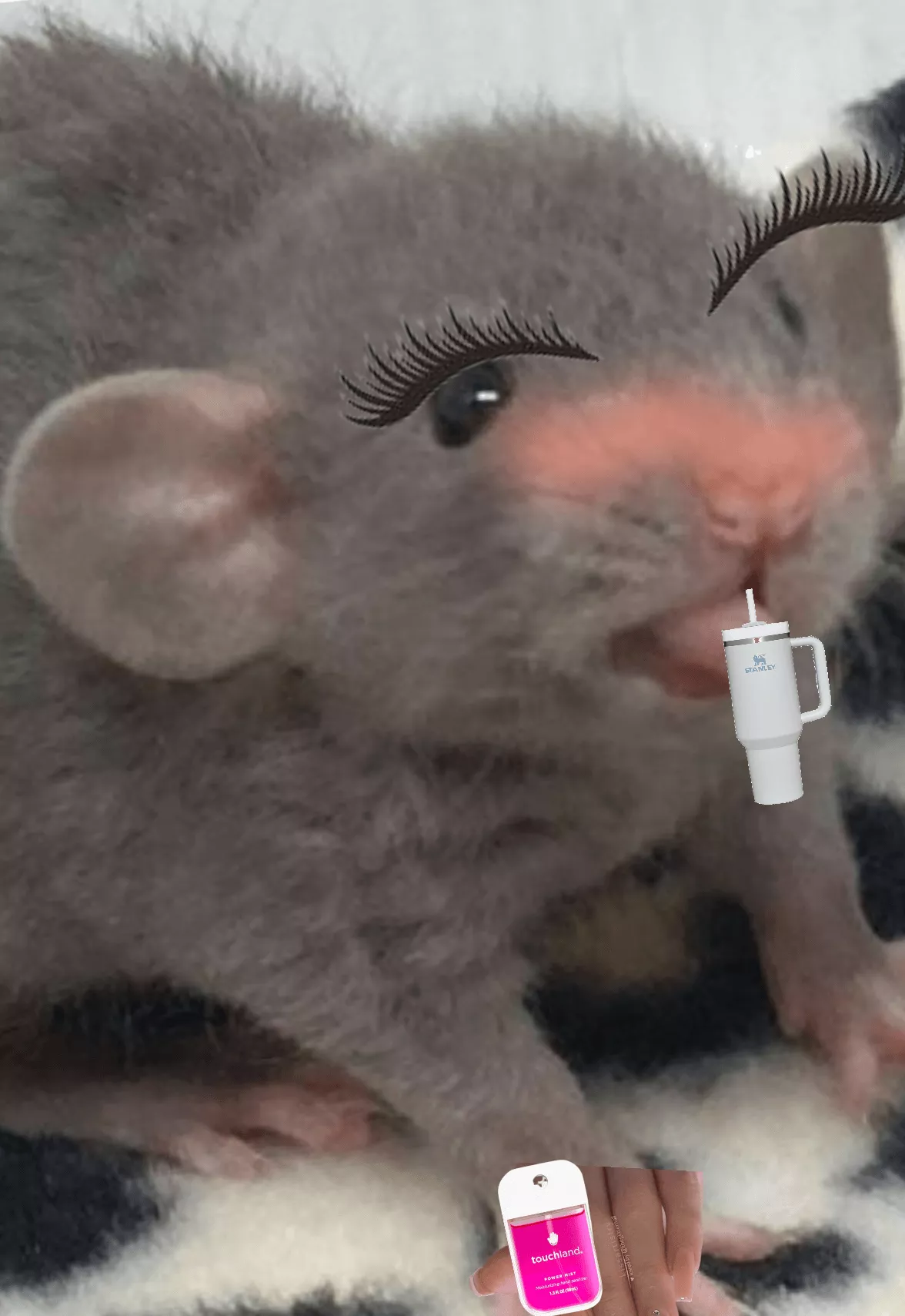 Preppy Rat Wallpapers - Wallpaper Cave