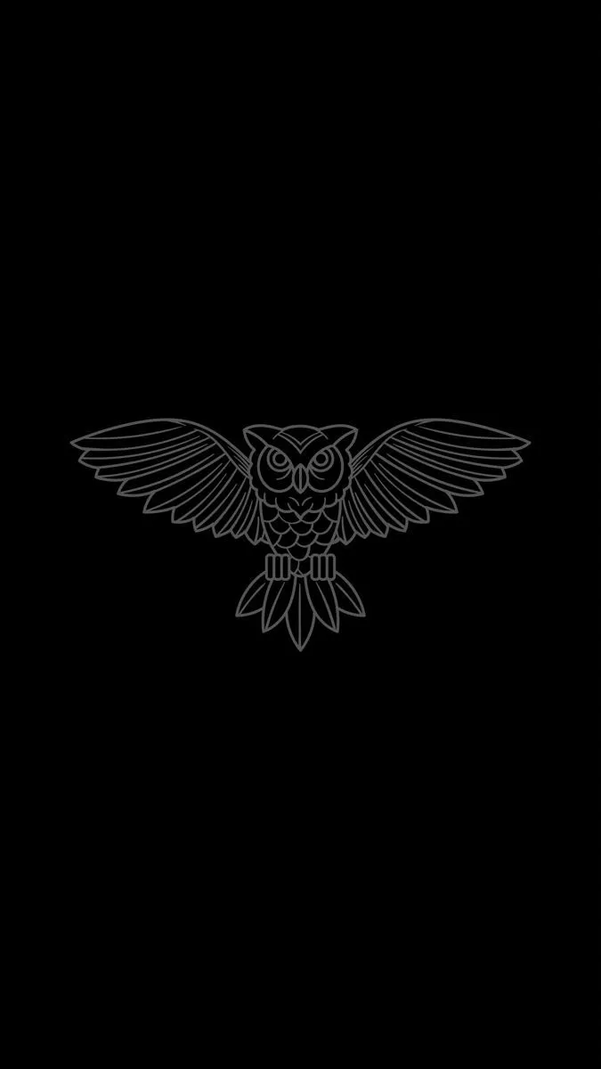 Minimalist Owl Wallpapers - Wallpaper Cave