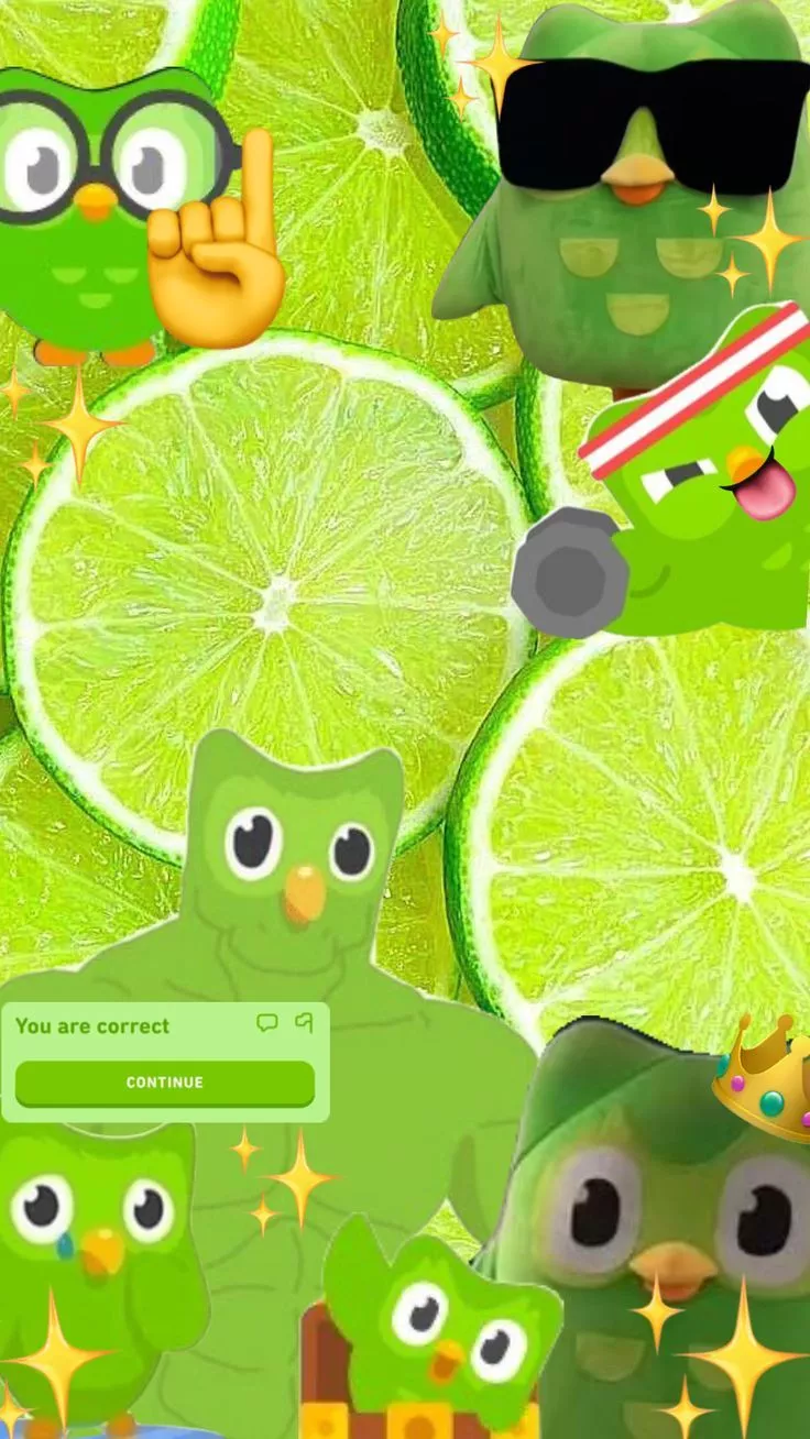 Duolingo Phone Wallpapers - Wallpaper Cave