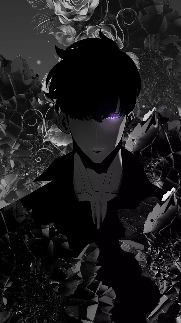 Solo Leveling Black Wallpapers - Wallpaper Cave