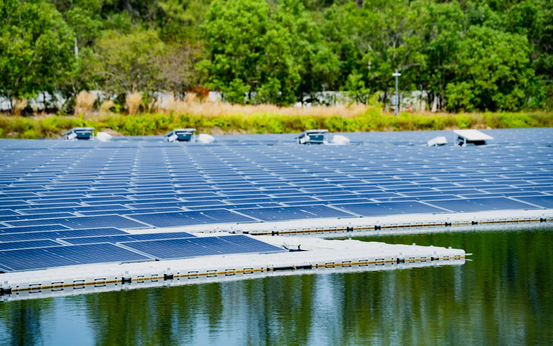 Solar Plant Wallpapers - Wallpaper Cave