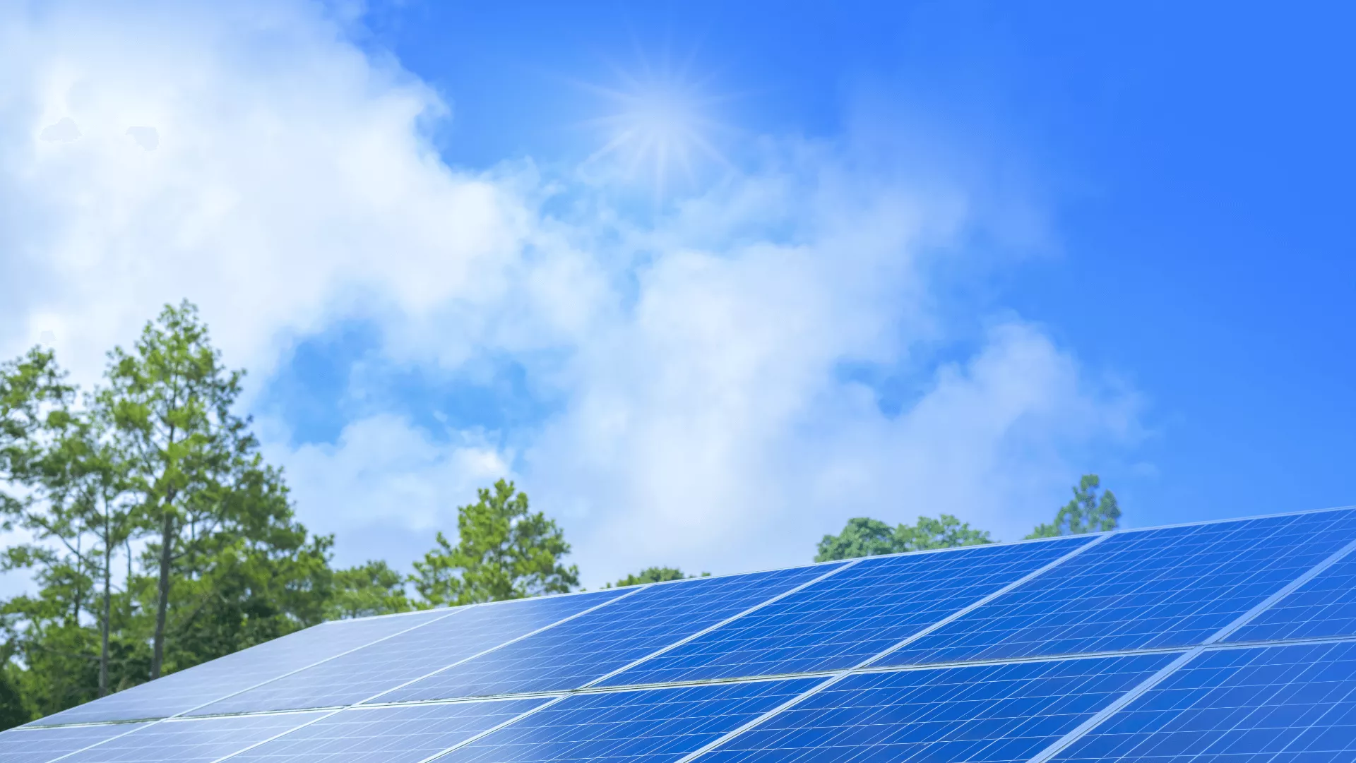 Solar Plant Wallpapers - Wallpaper Cave