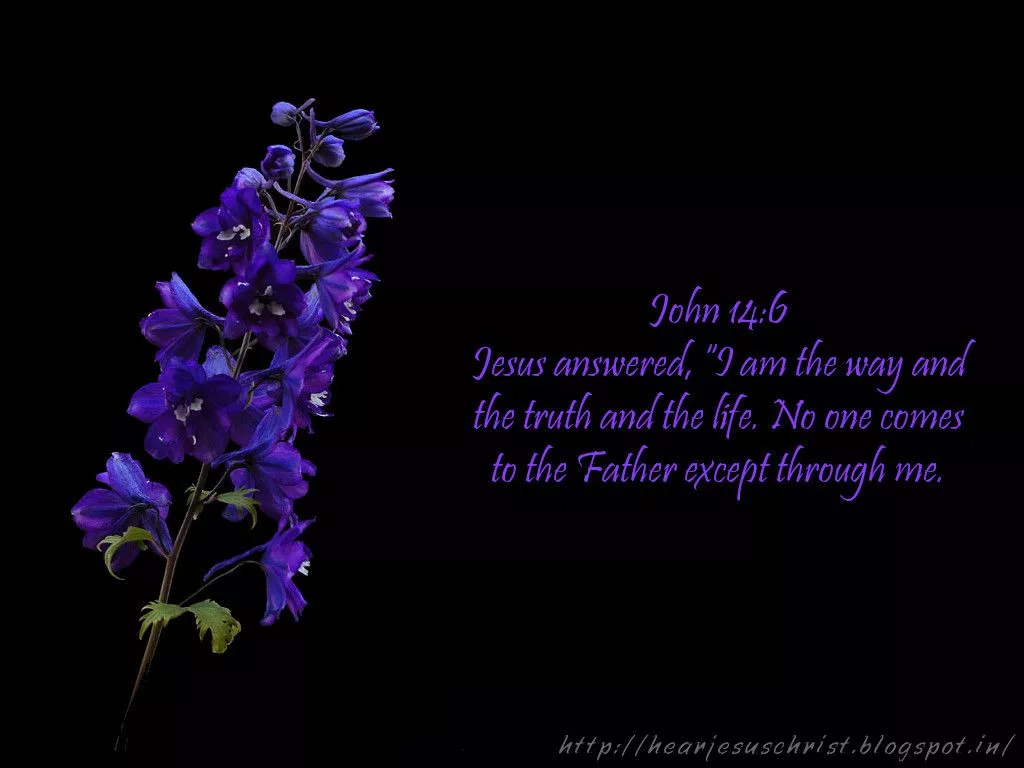 John 14:6 Wallpapers - Wallpaper Cave