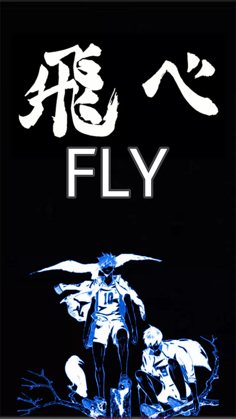 Haikyu! Fly High Wallpapers - Wallpaper Cave