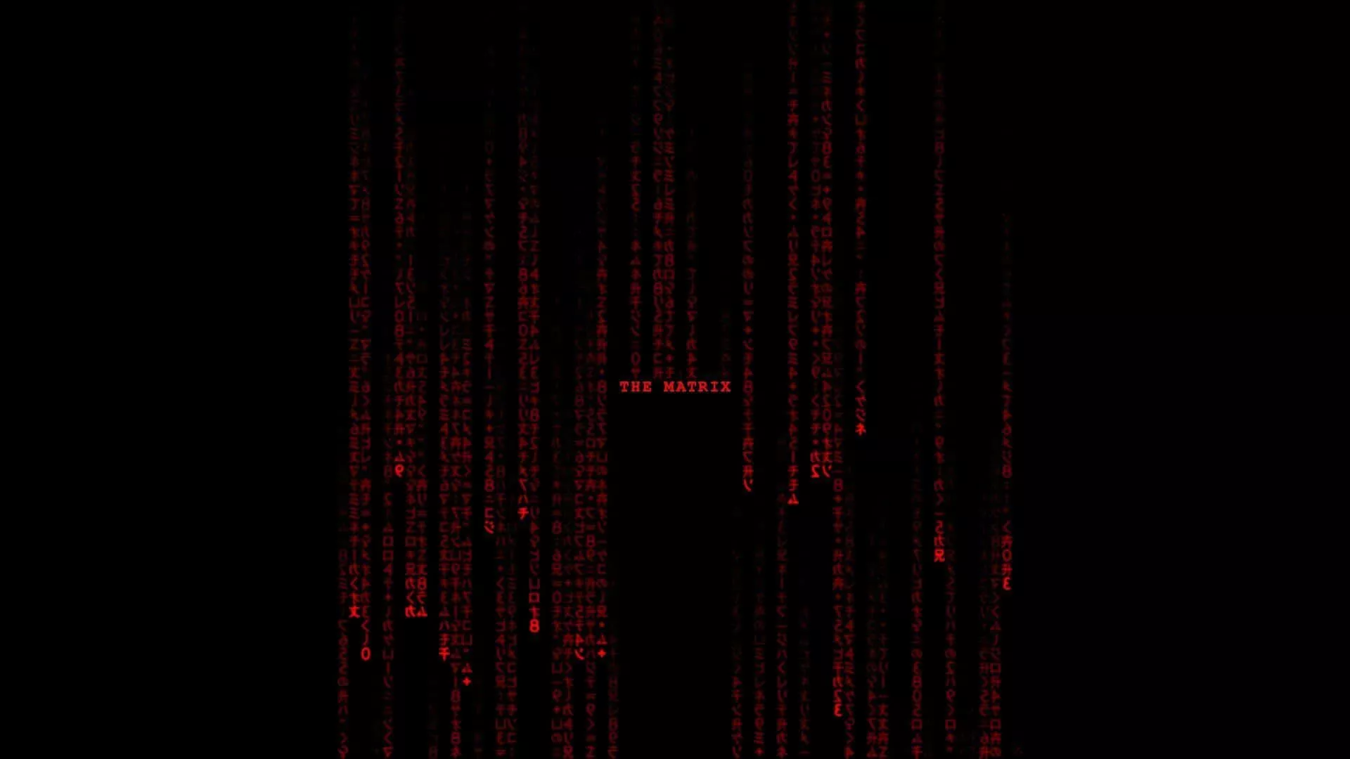 Black Matrix Wallpapers - Wallpaper Cave