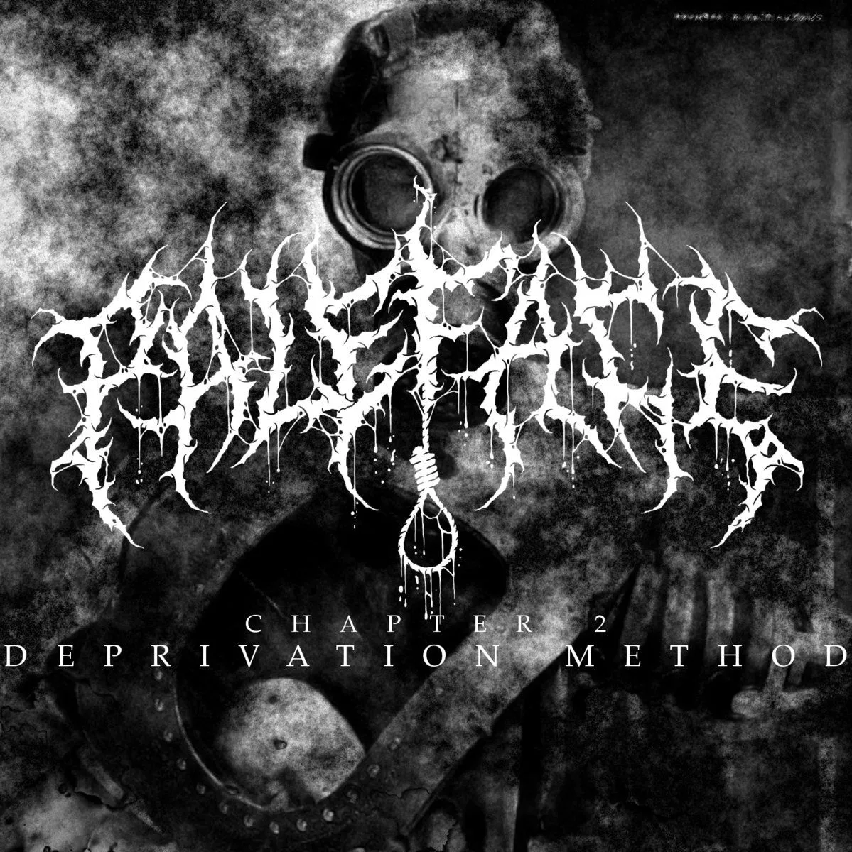 Paleface Swiss Wallpapers - Wallpaper Cave