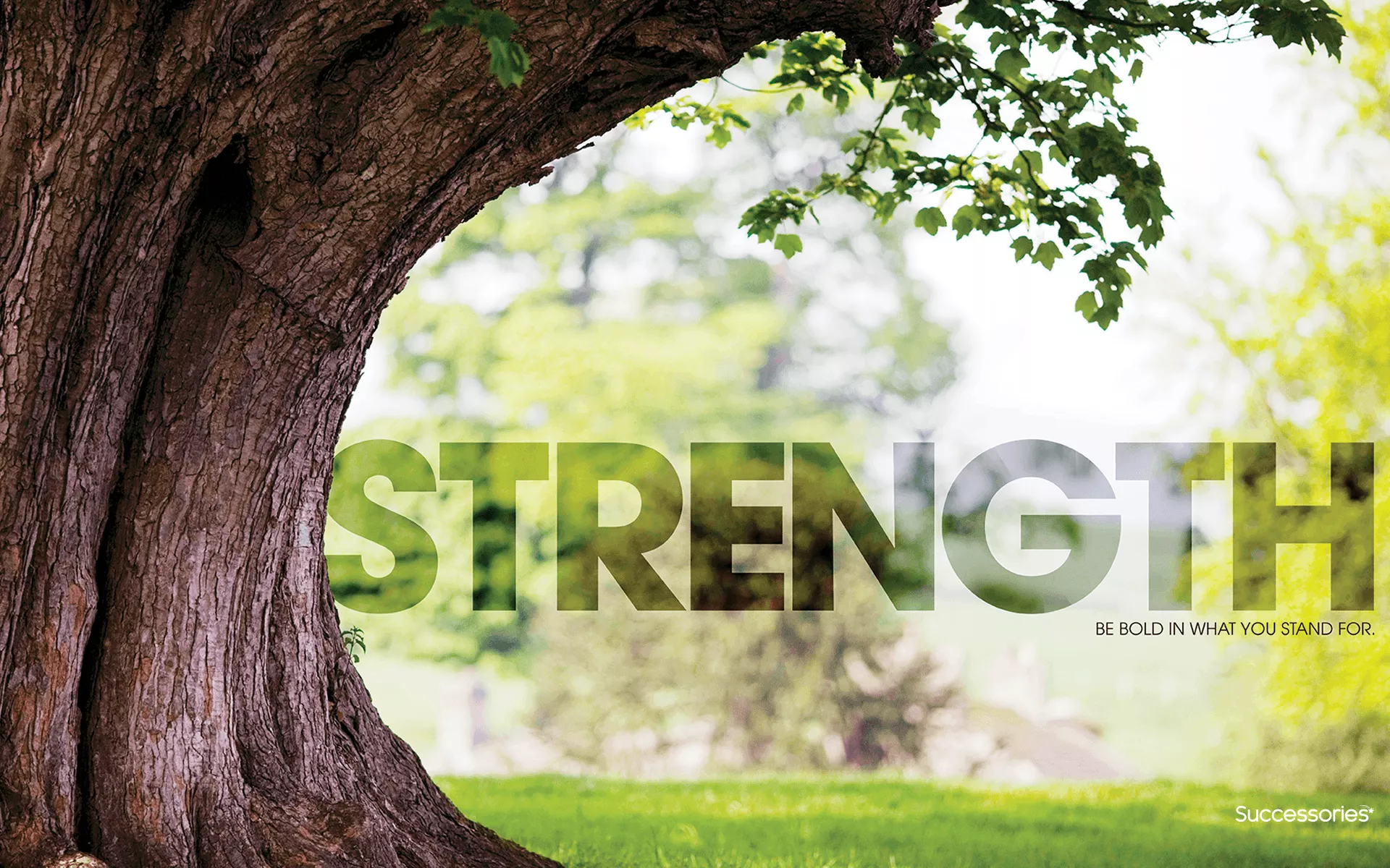 Office Motivation Wallpapers - Wallpaper Cave