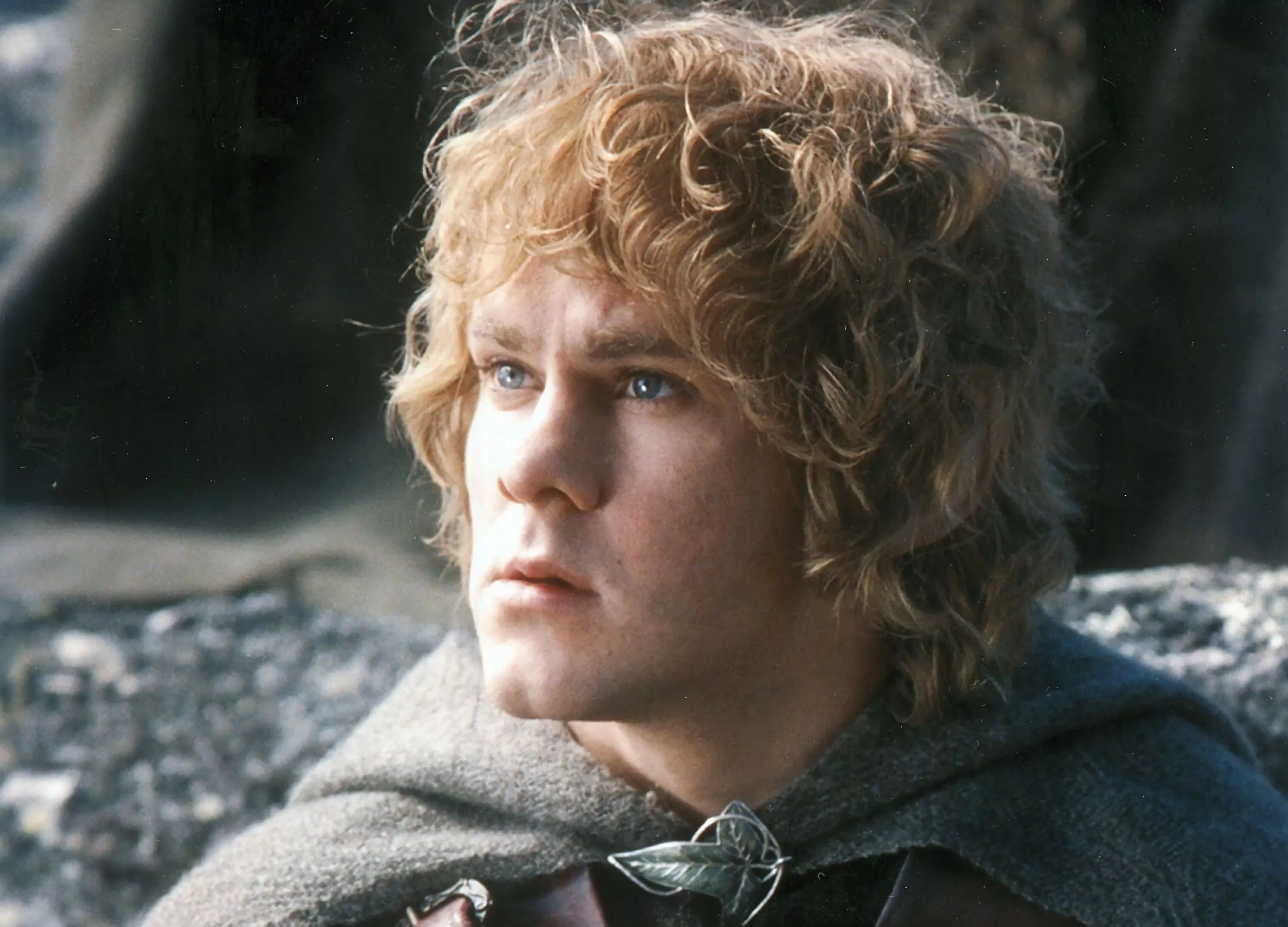 Merry Brandybuck Wallpapers - Wallpaper Cave