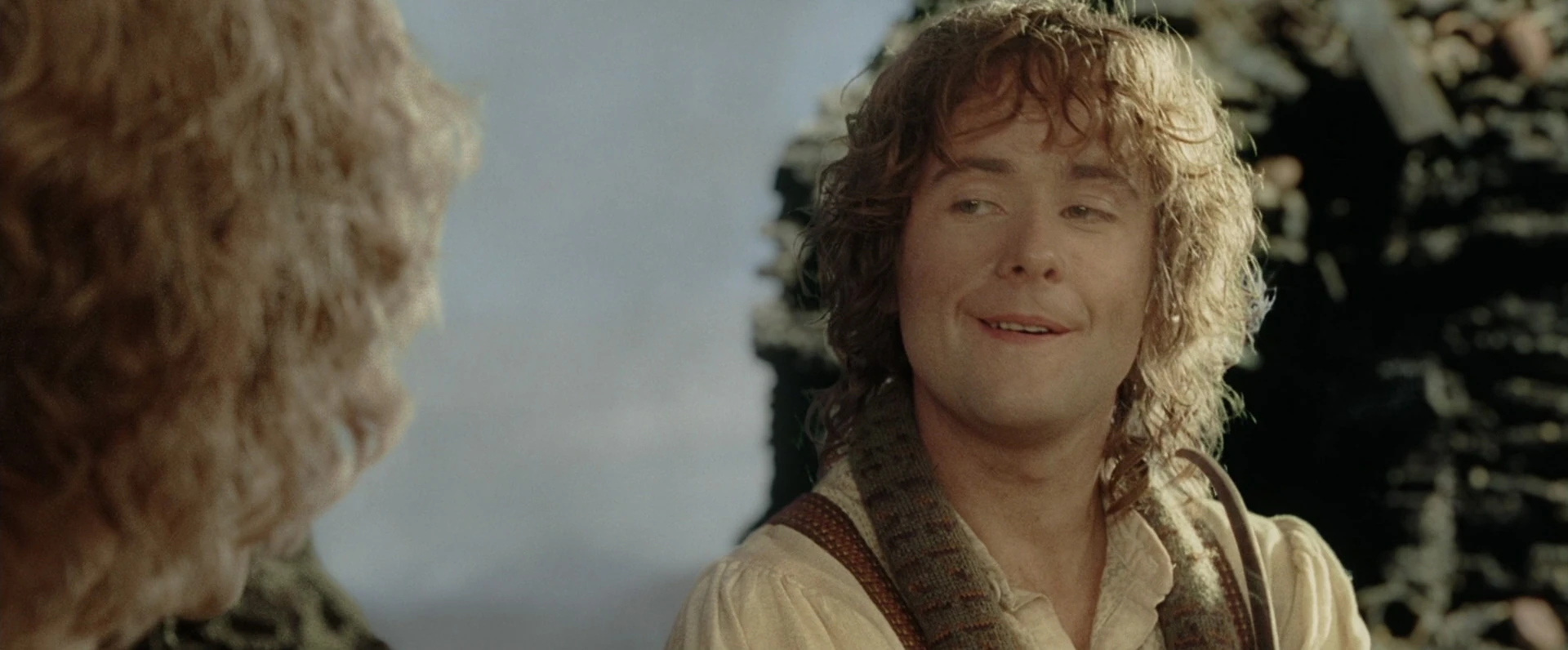 Pippin Took Wallpapers - Wallpaper Cave