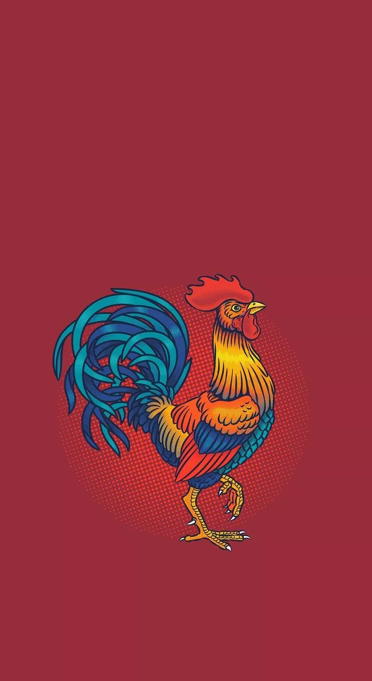 Rooster Wallpapers - Wallpaper Cave