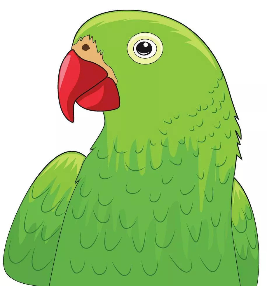 Cartoon Parakeets Wallpapers - Wallpaper Cave