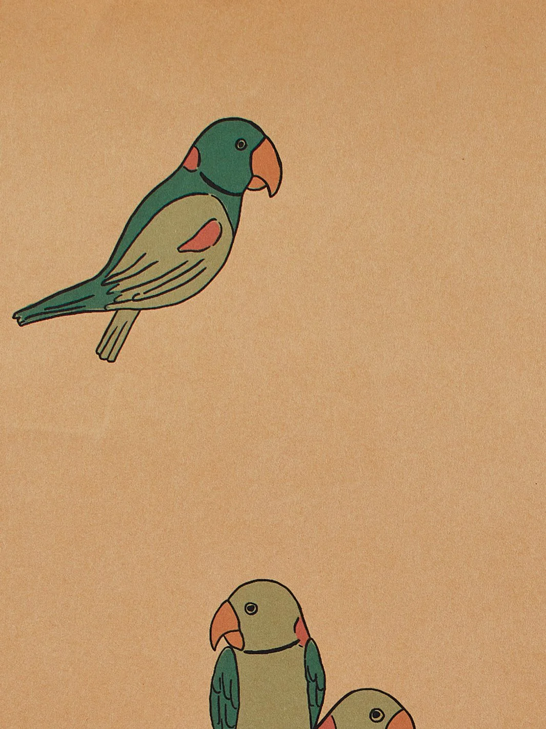 Cartoon Parakeets Wallpapers - Wallpaper Cave