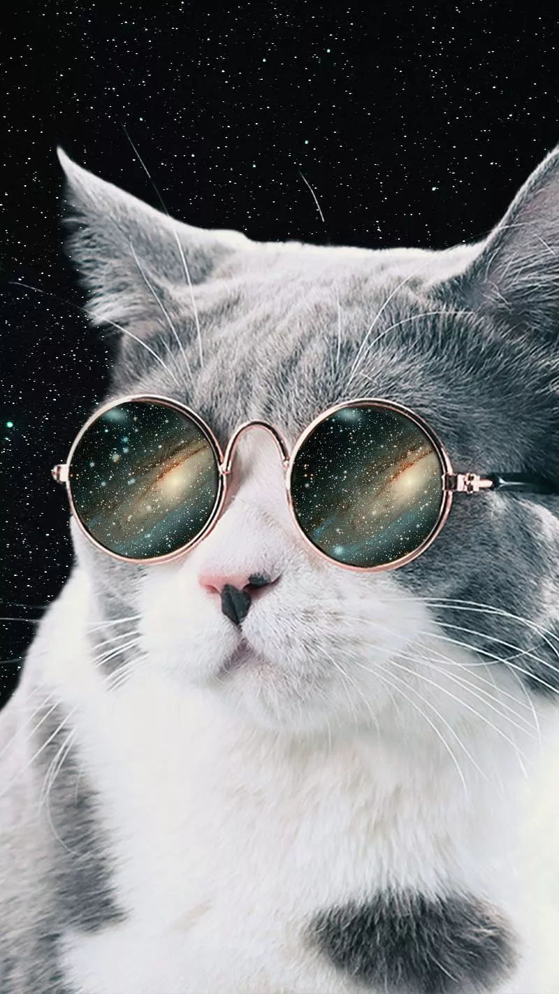 Cosmic Cat Wallpapers - Wallpaper Cave